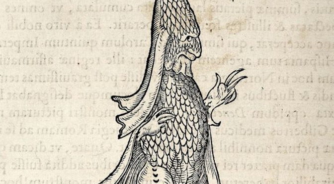 Rare 16th century book on display as part of Deep Oceans exhibition ...