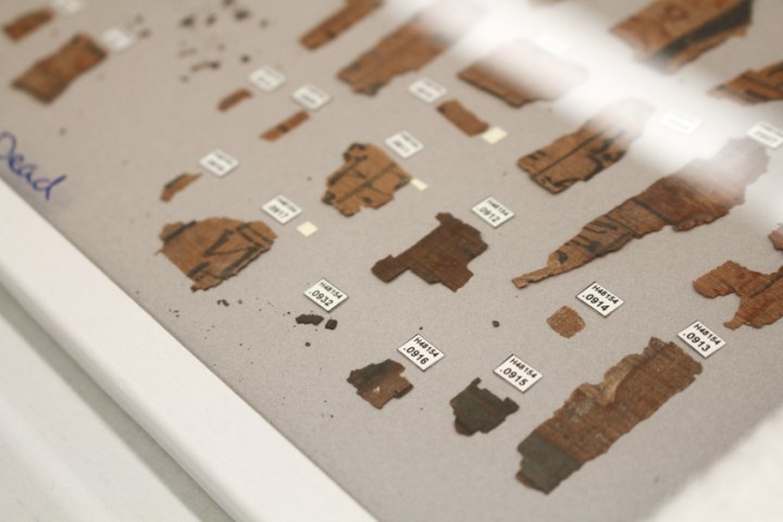 Collecting the Deep Past: Queensland Museum’s archaeology collection ...