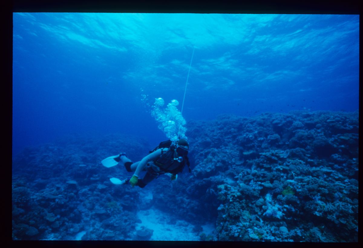 The Maritime Archaeology Collection: Part 2 Islands and Reefs ...