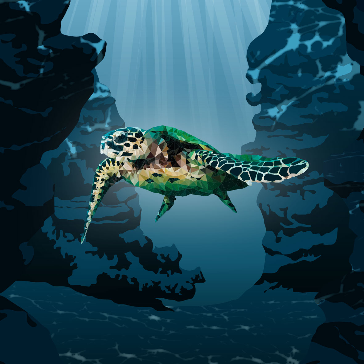 Sharing nature’s gems for World Wildlife Day – Queensland Museum Blog