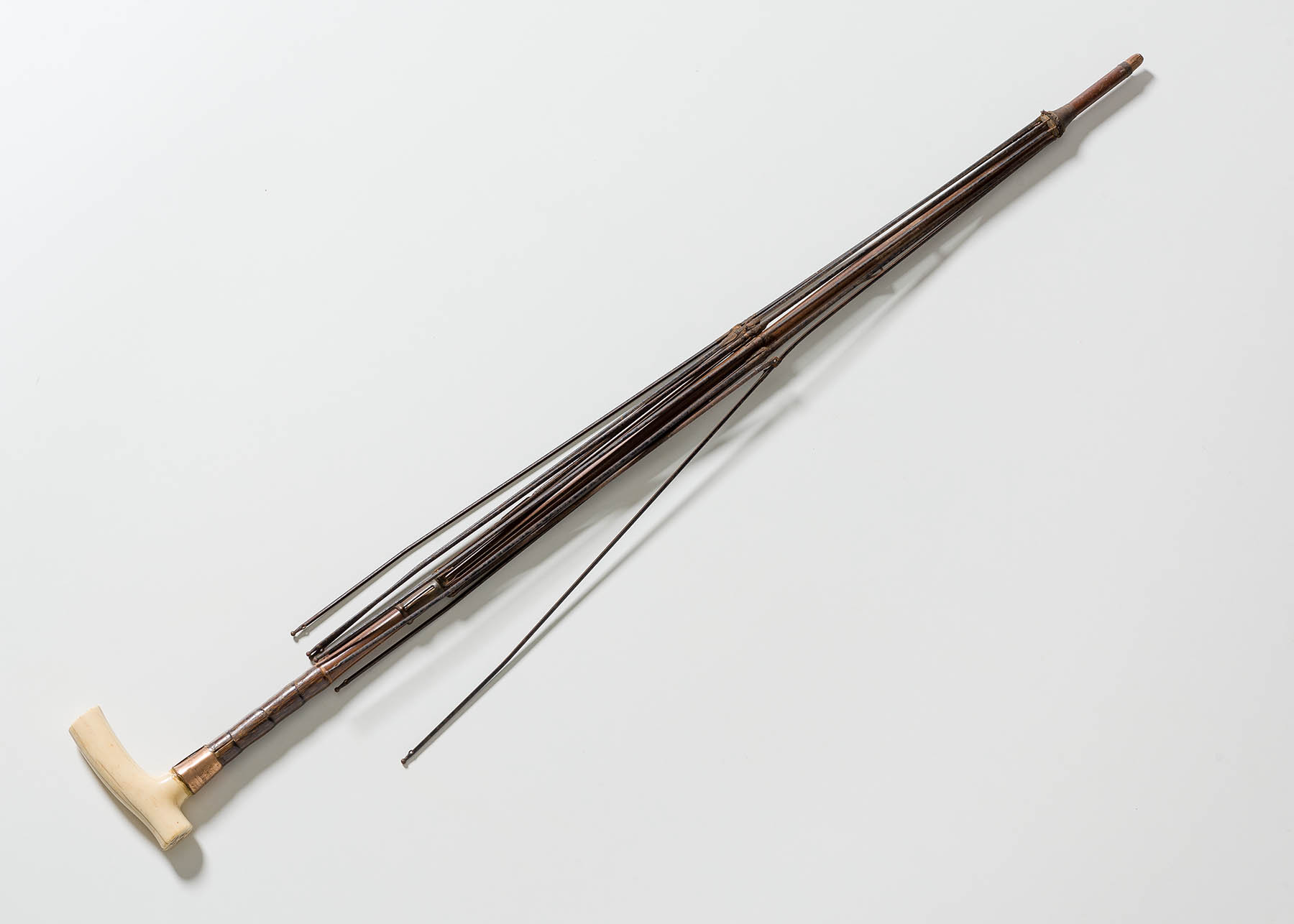 GEORGE RANDALL’S SOUVENIR UMBRELLA – Queensland Museum Blog