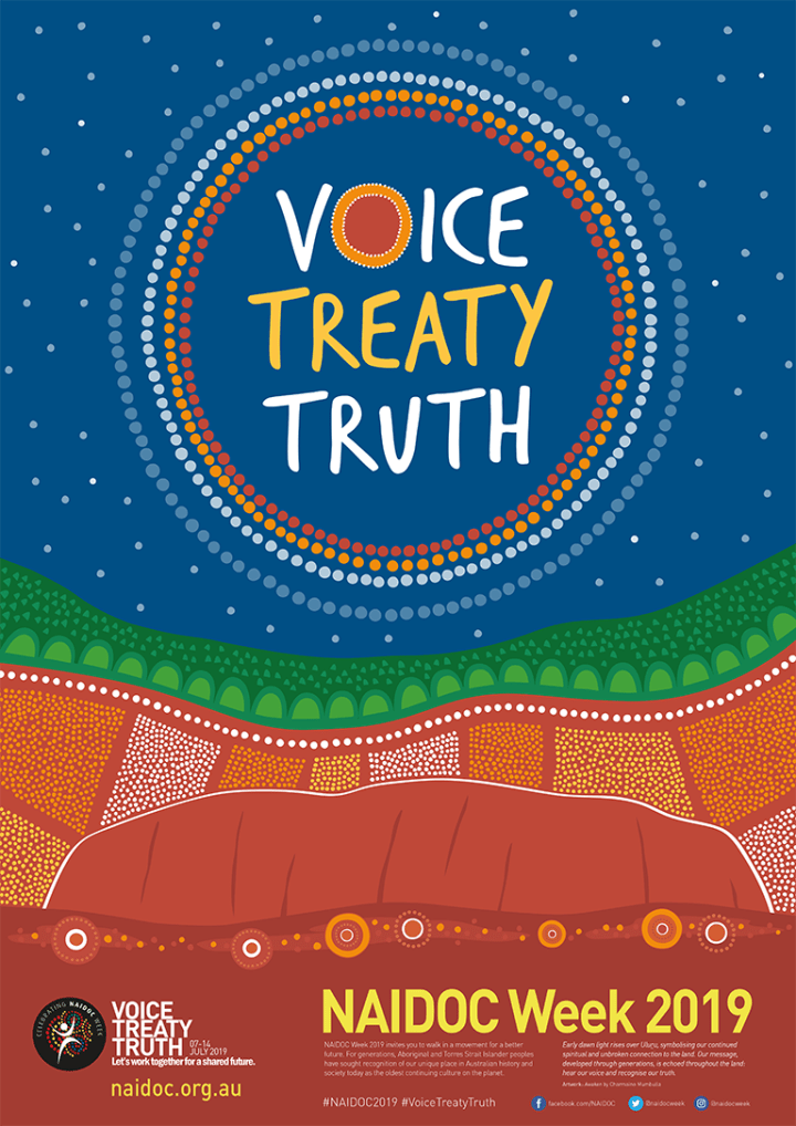 NAIDOC WEEK – Queensland Museum Blog