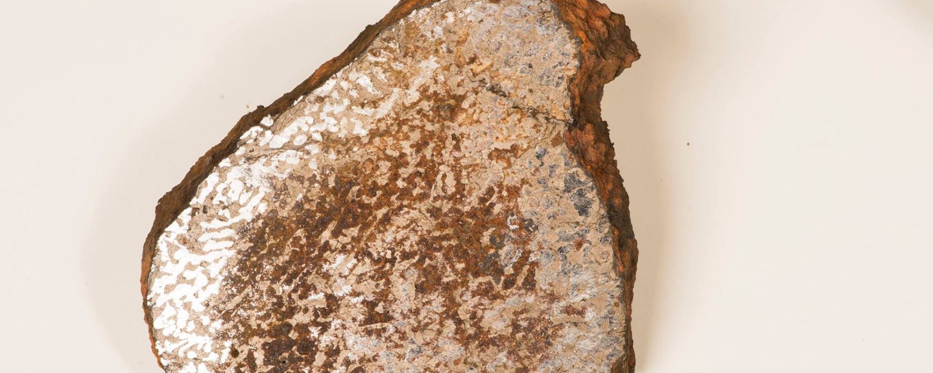 A piece of our early solar system – Queensland Museum Blog