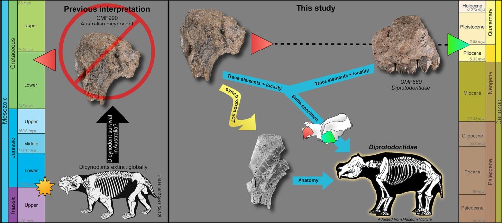 The last dicynodont? A 100 year old fossil mystery with bite ...