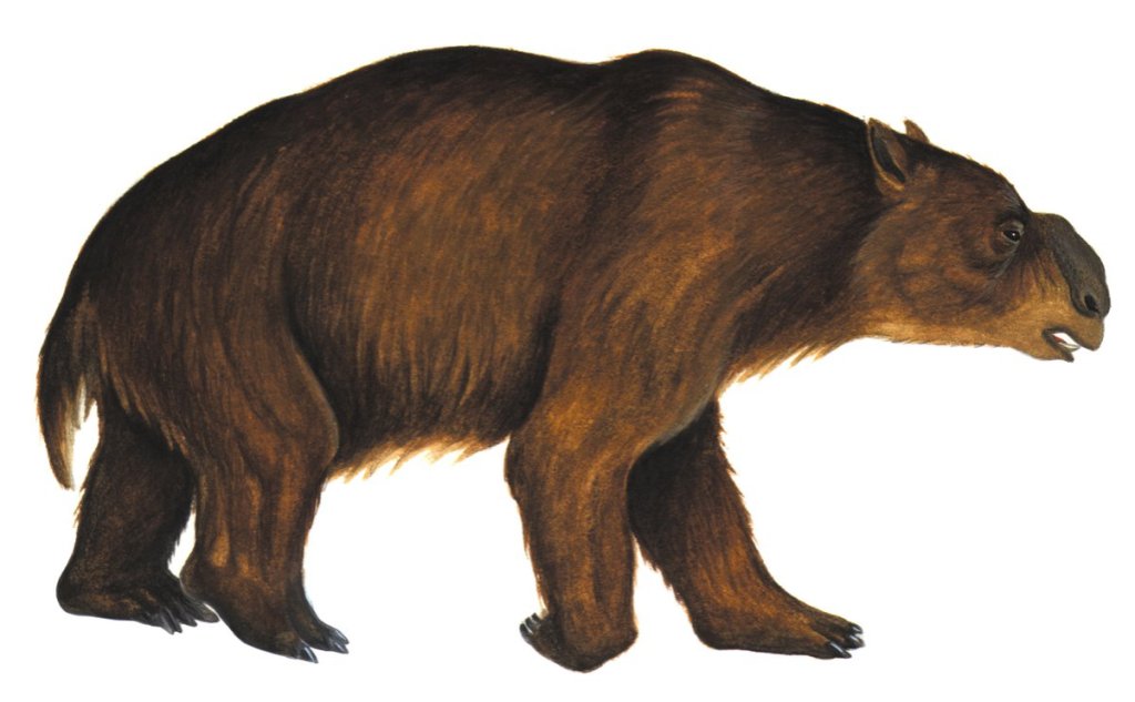 The last dicynodont? A 100 year old fossil mystery with bite ...