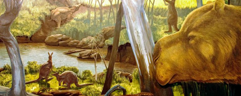 What are megafauna? – Queensland Museum Blog