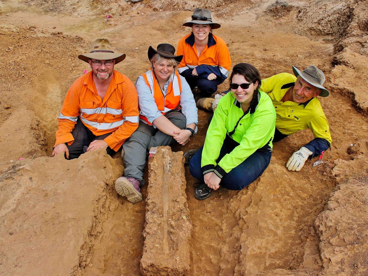 Discovering the world’s largest kangaroo- Part 1: In the field ...