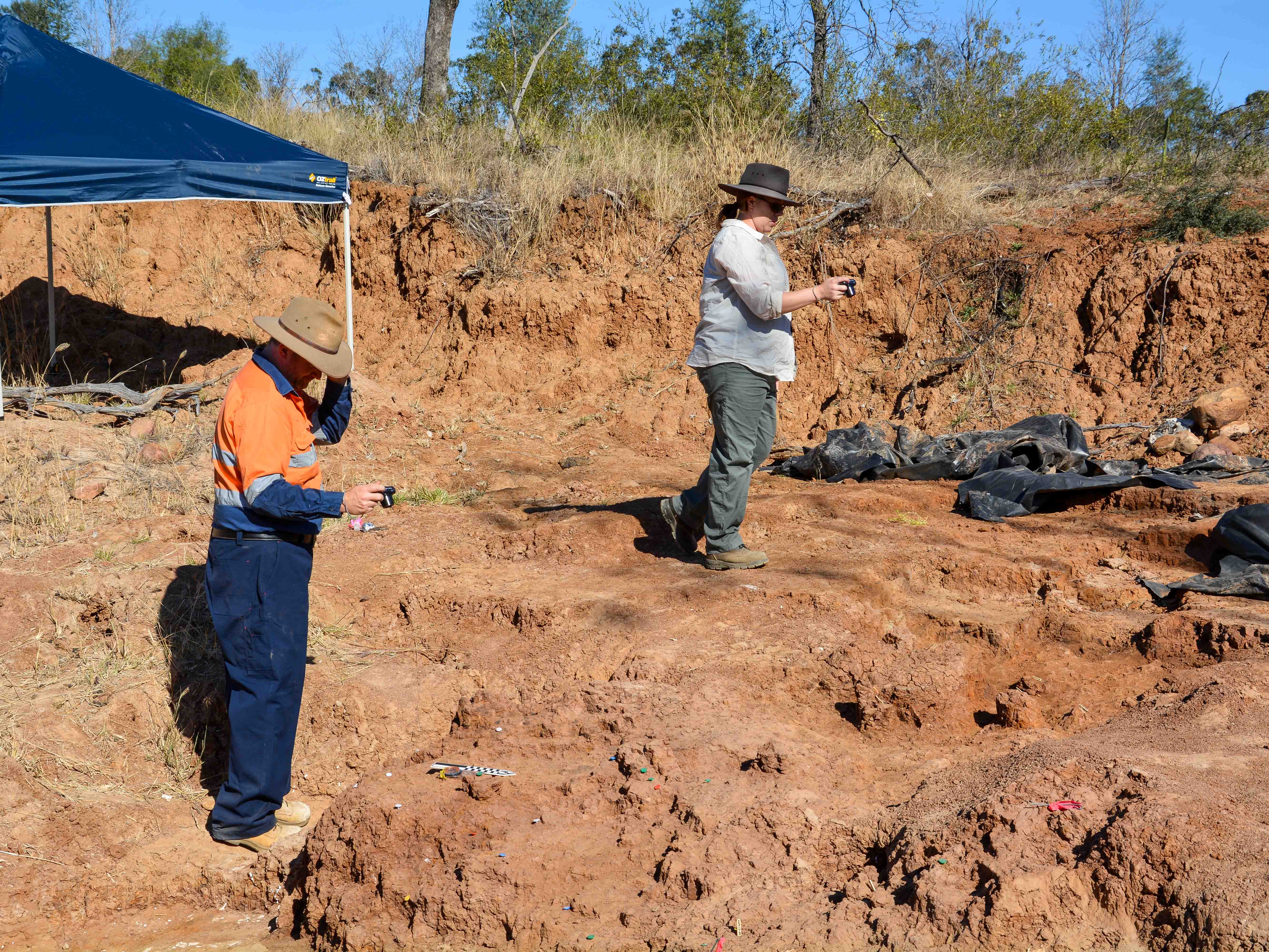 Discovering the world’s largest kangaroo- Part 1: In the field ...