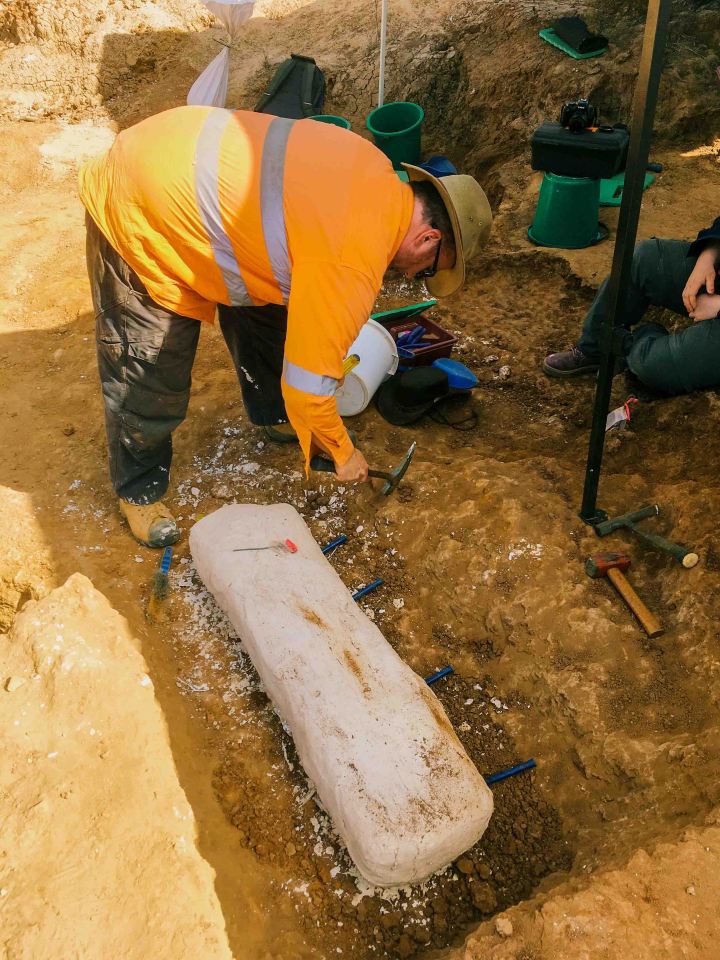 Discovering the world’s largest kangaroo- Part 1: In the field ...