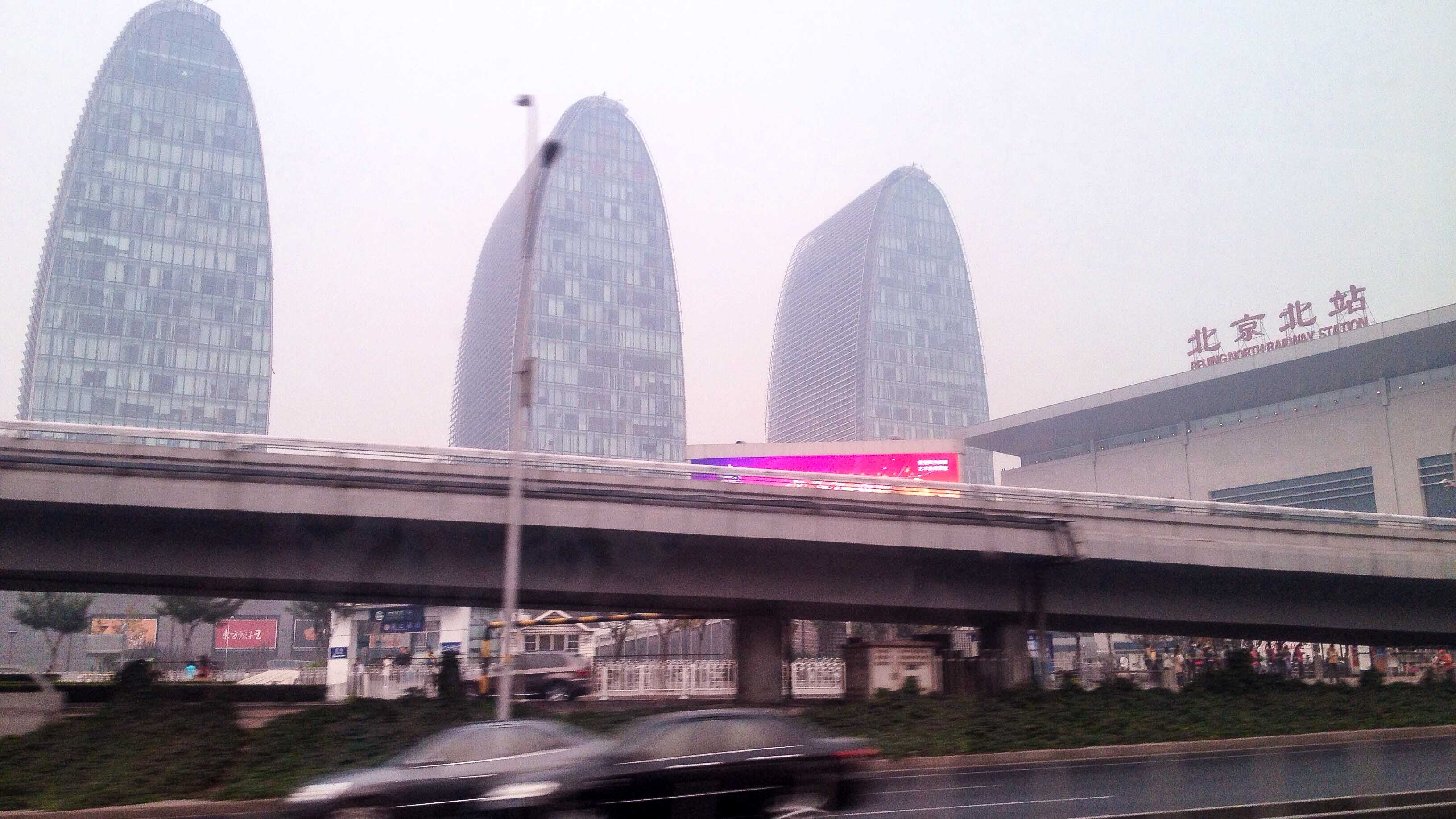 What are megafauna? – Queensland Museum Blog