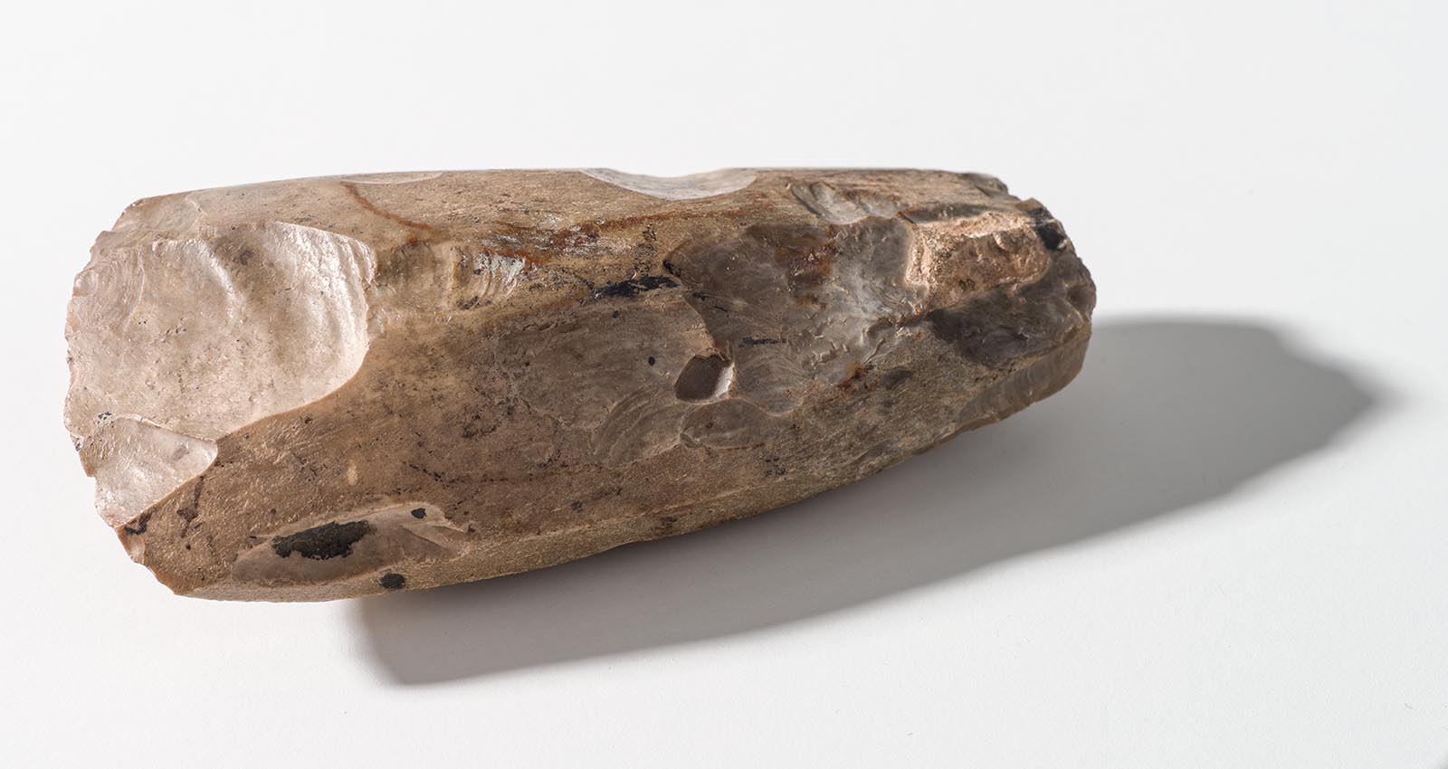 Digging in the archaeology collection – Queensland Museum Blog