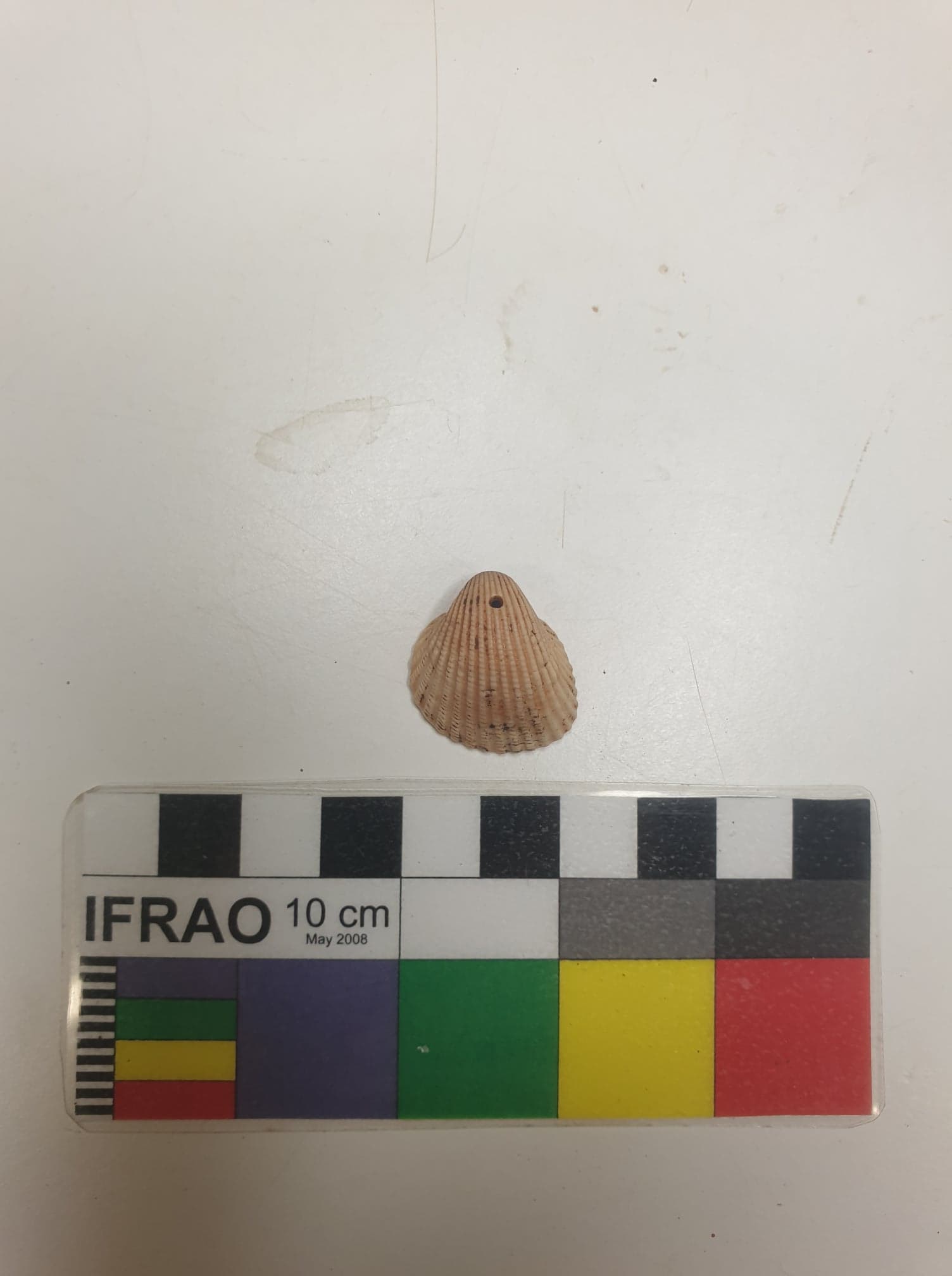 Exploring family history through artefacts – Queensland Museum Blog