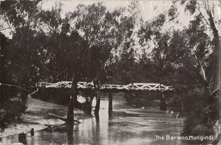 The ‘dogger’, the dingo and a little bit of know-how … the story of ...