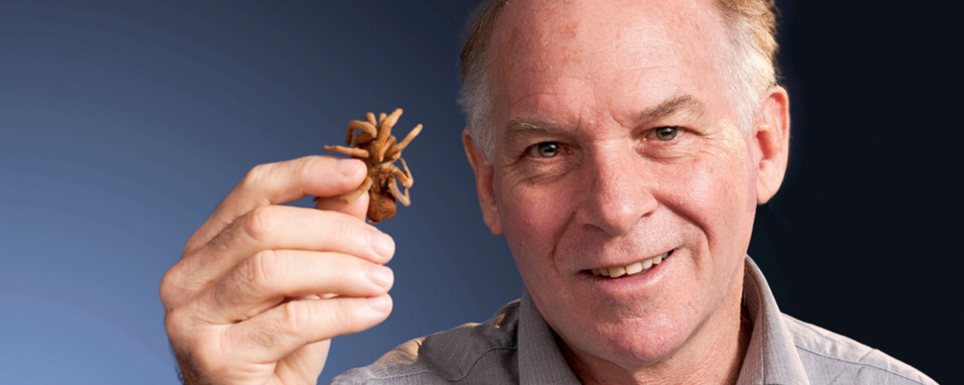 5 minutes with Dr Robert Raven, Arachnology – Queensland Museum Blog