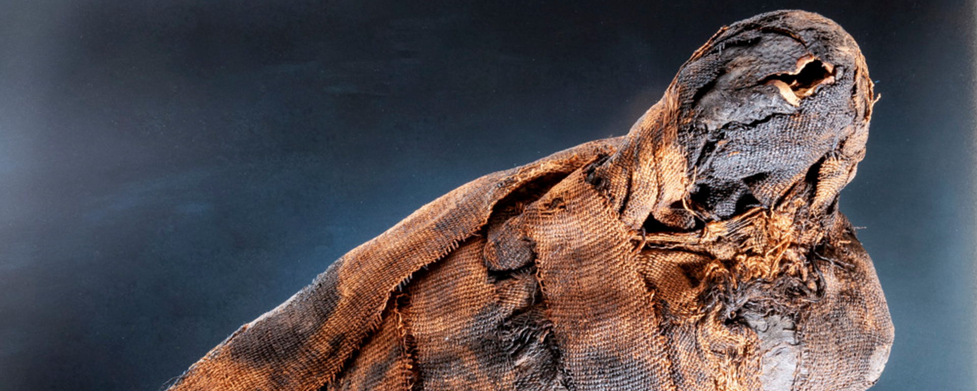 Held within eternal wrappings | Animal mummies in the Queensland Museum ...