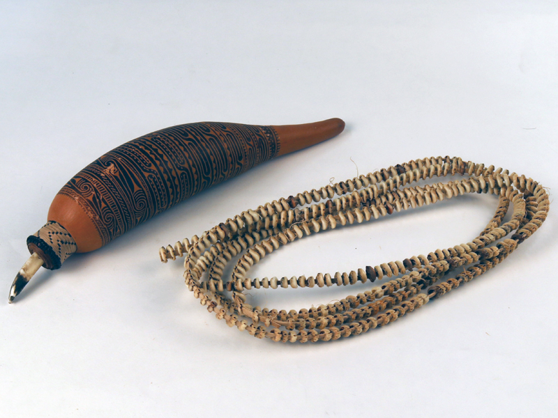 Still more important than anything money can buy – Queensland Museum Blog