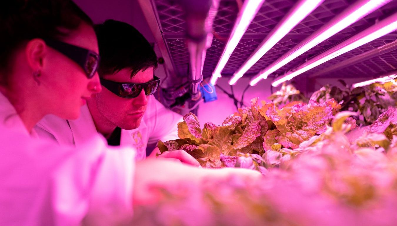 6 Ways to celebrate National Science Week – Queensland Museum Blog