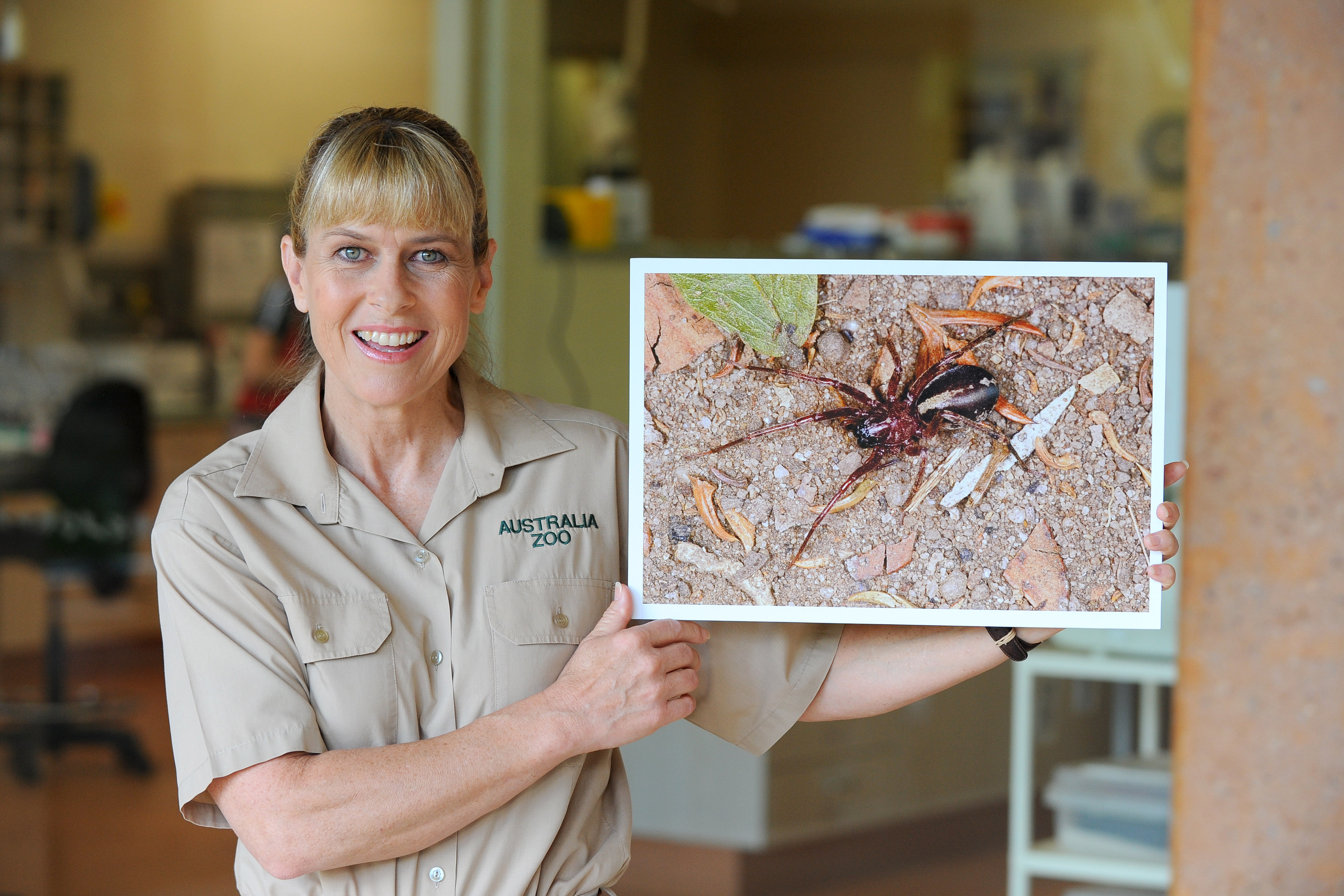 Along Came A Spider and Snail, inspired by the Irwins – Queensland ...