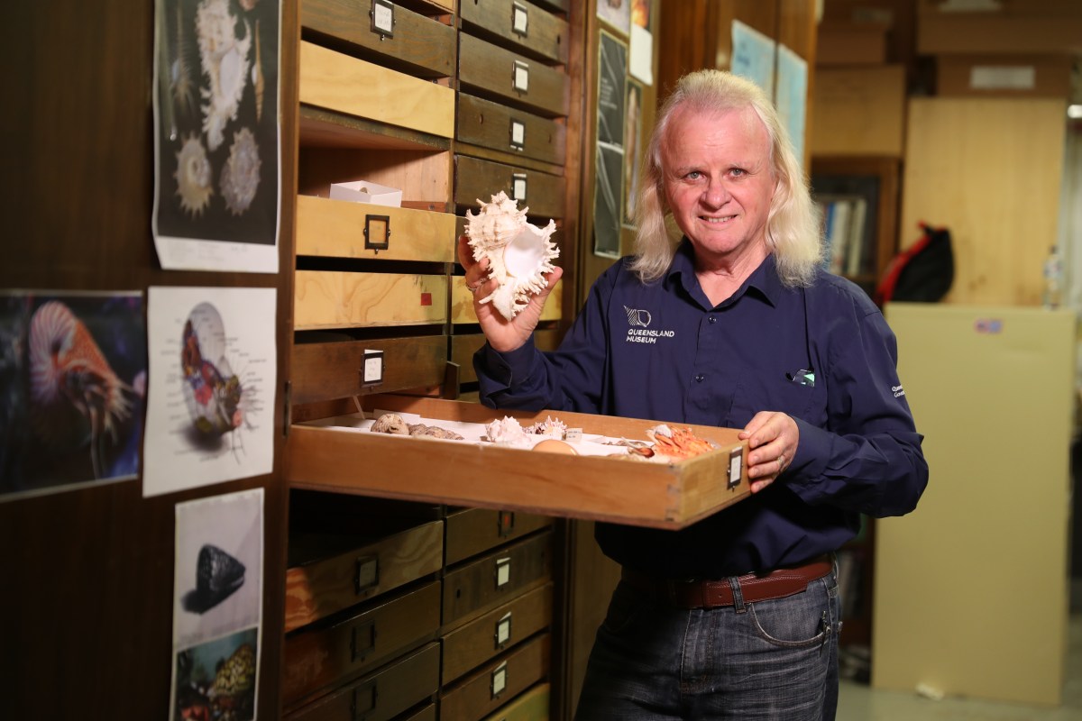 Museum Revealed Podcast [Ep 11]: Snails, Squids and More Molluscs with ...