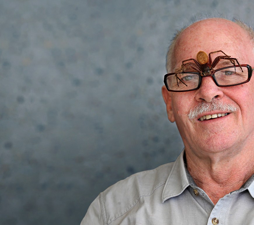 Queensland Museum Blog – Page 12 – Queensland Museum is custodian of ...