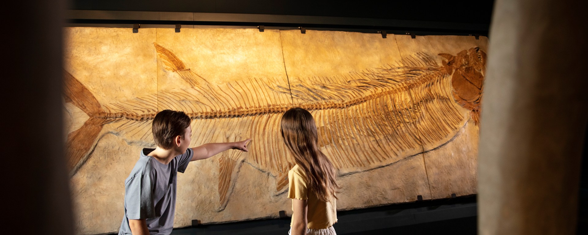 5 reasons to visit Sea Monsters – Queensland Museum Blog