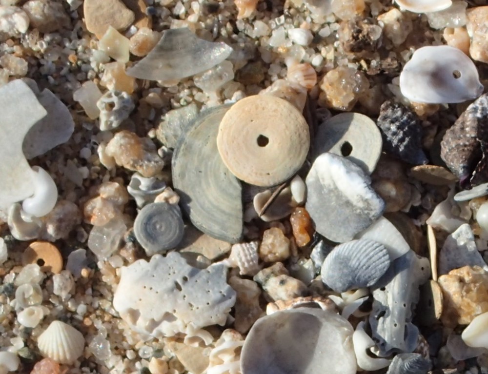 Mystery Object: Lifesavers of the Coral Sea – Queensland Museum Blog