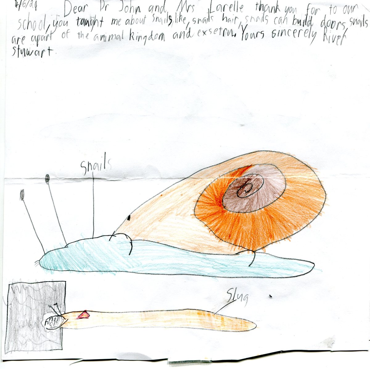 Telling the snail story – Queensland Museum Blog