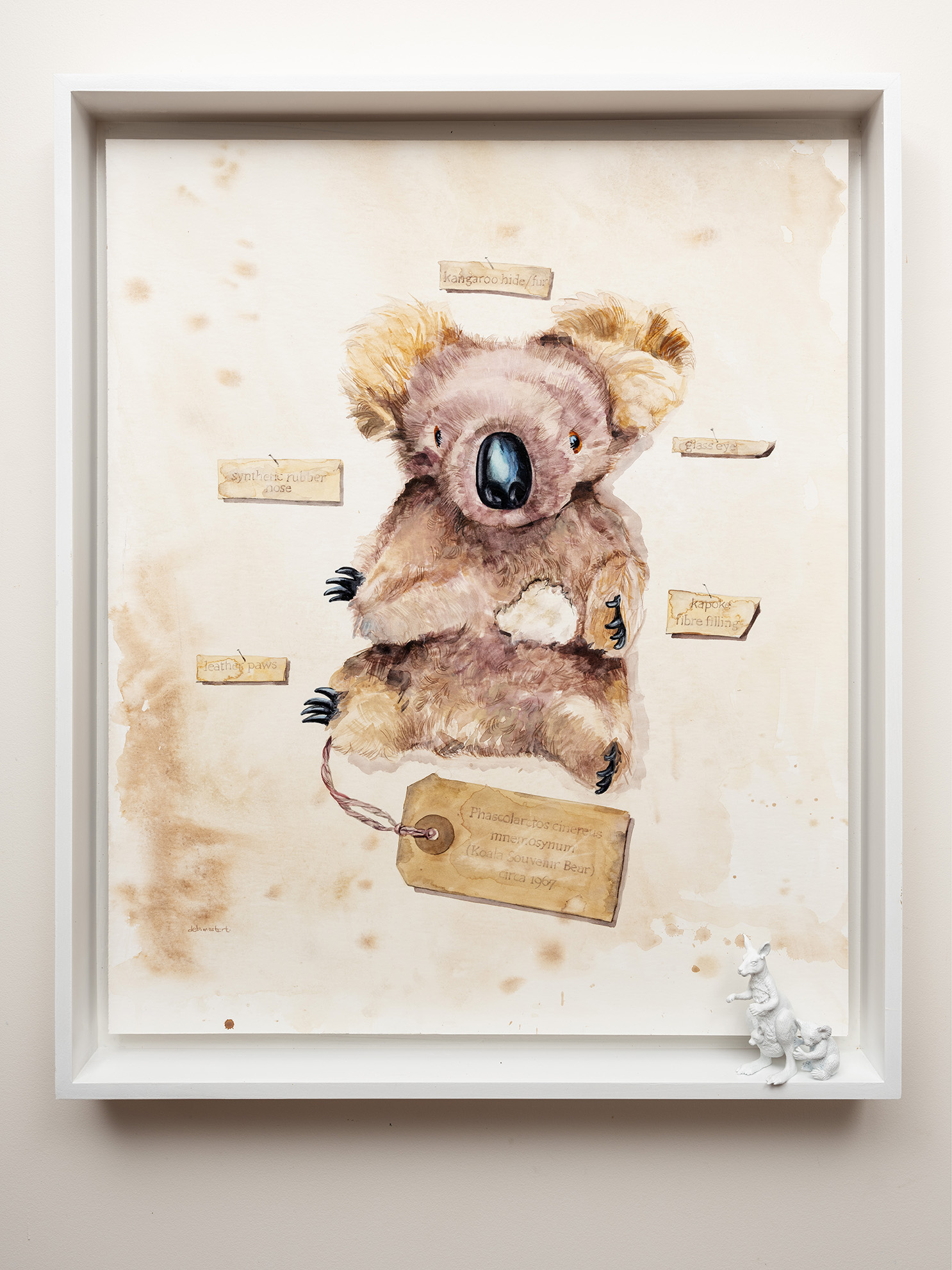 Animal as Object – nature and culture – Queensland Museum Blog