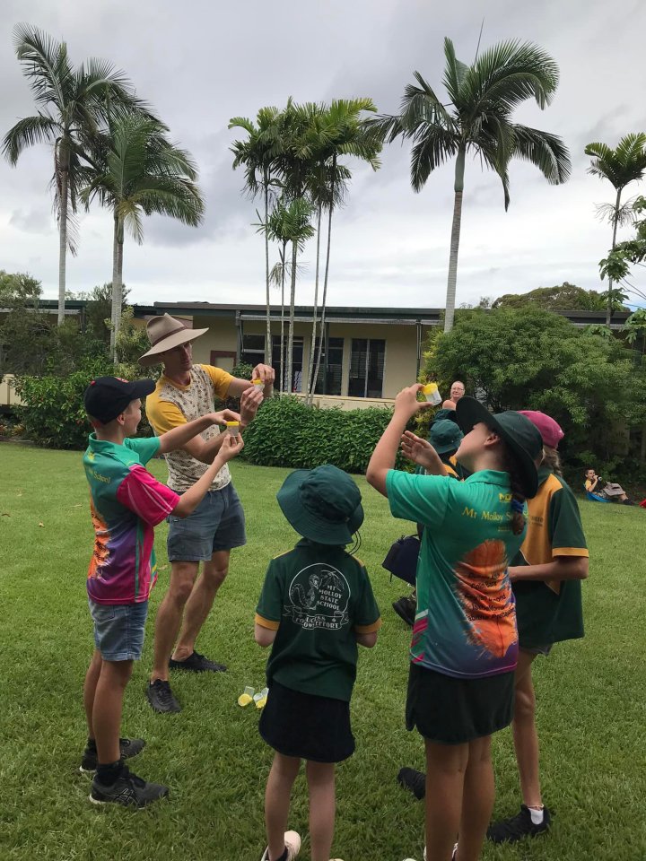 Insect Investigators – Queensland Museum Blog