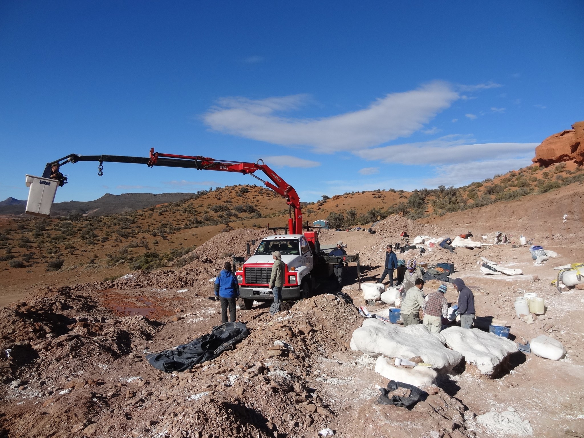 Know your dinosaur bones – Queensland Museum Blog