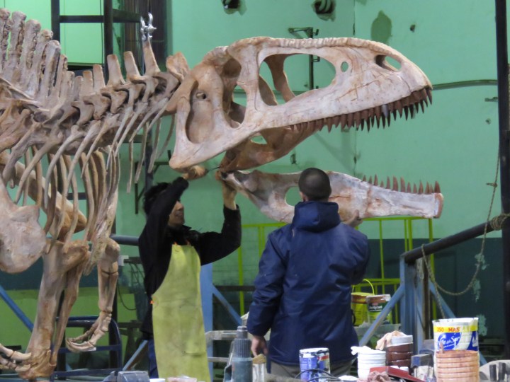 Know your dinosaur bones – Queensland Museum Blog