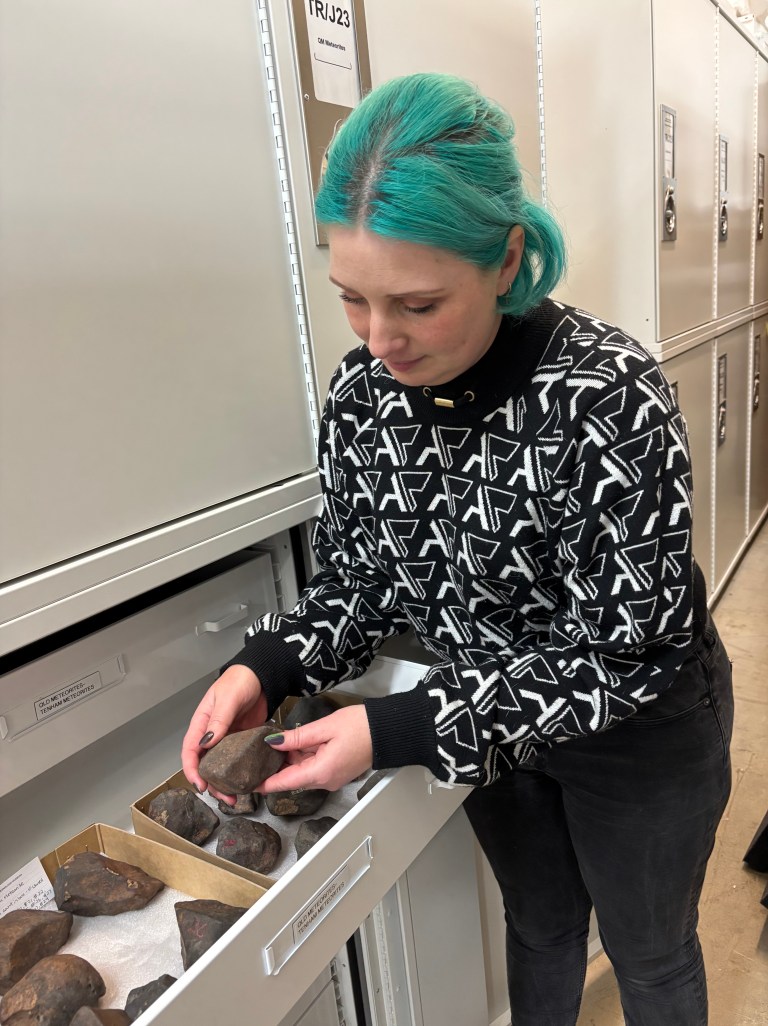 Meteorites to Museum: The Tenham Meteorite and Queensland Museum’s ...