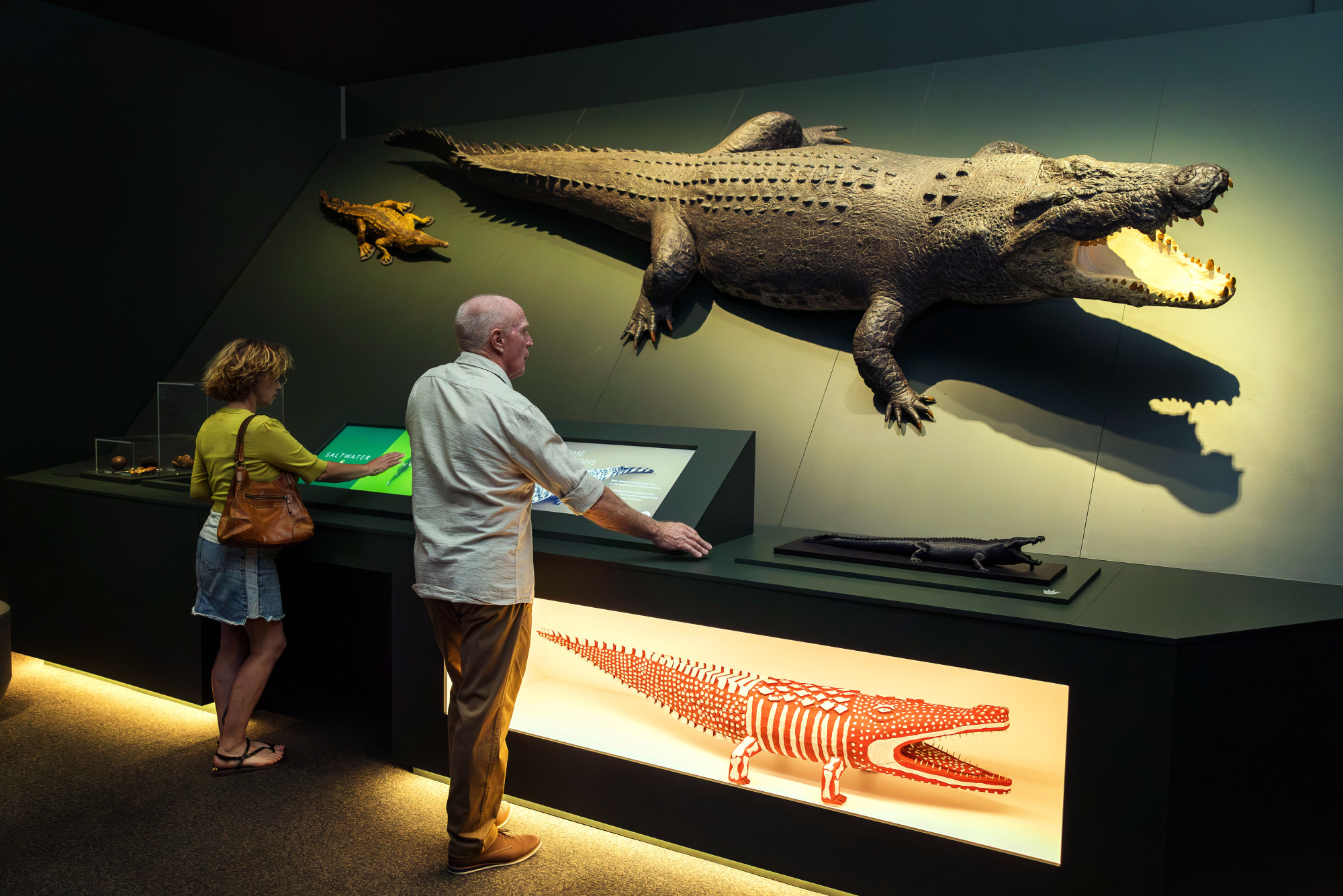 Australia’s crocodiles: Freshwater vs Saltwater – What’s the Difference? – Queensland Museum Blog